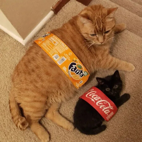 descriptive motley naughty